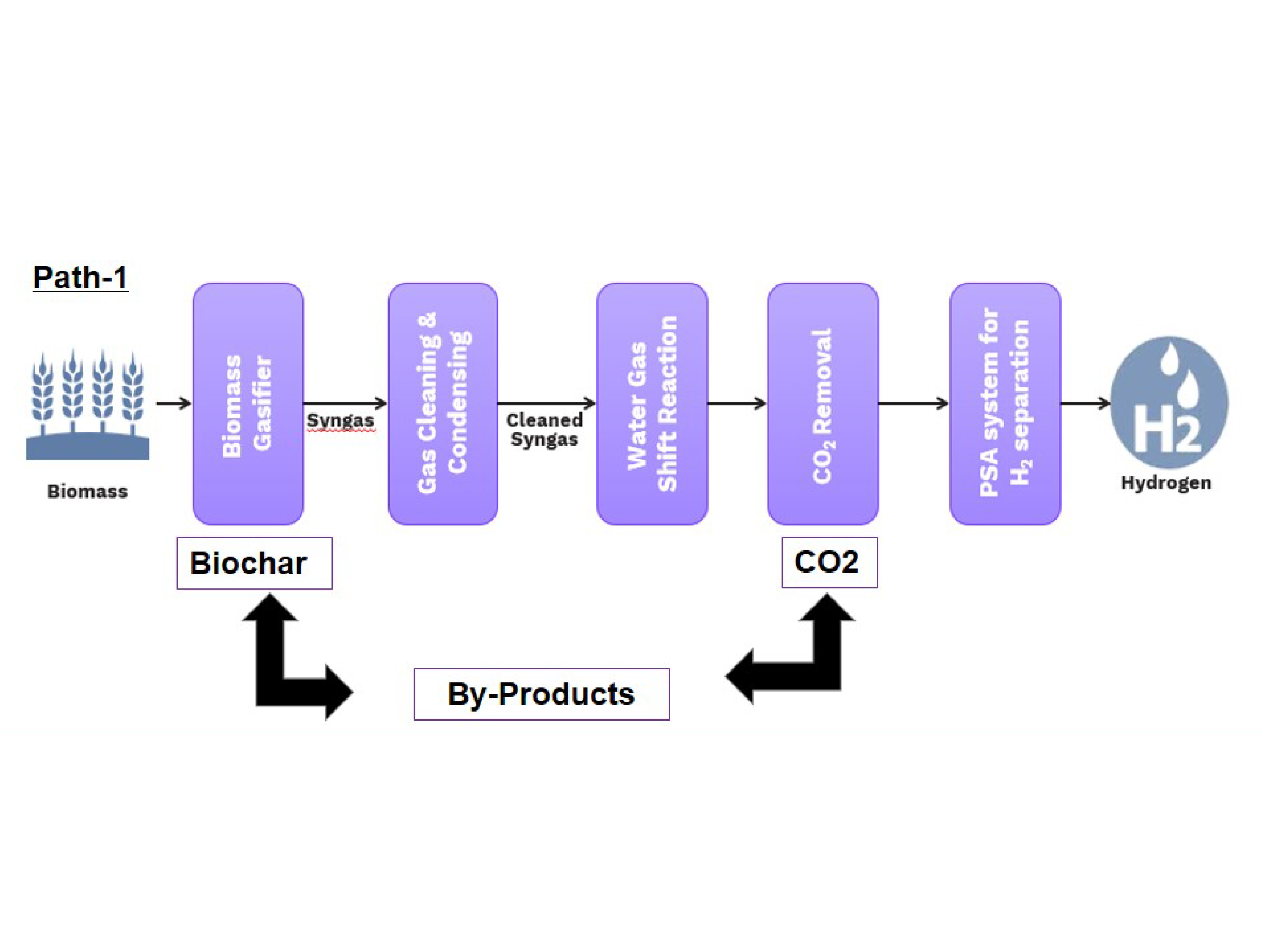 Coal Gasifier - Ankur Scientific